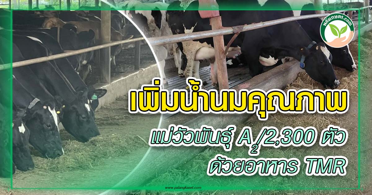 - พลังเกษตร.com