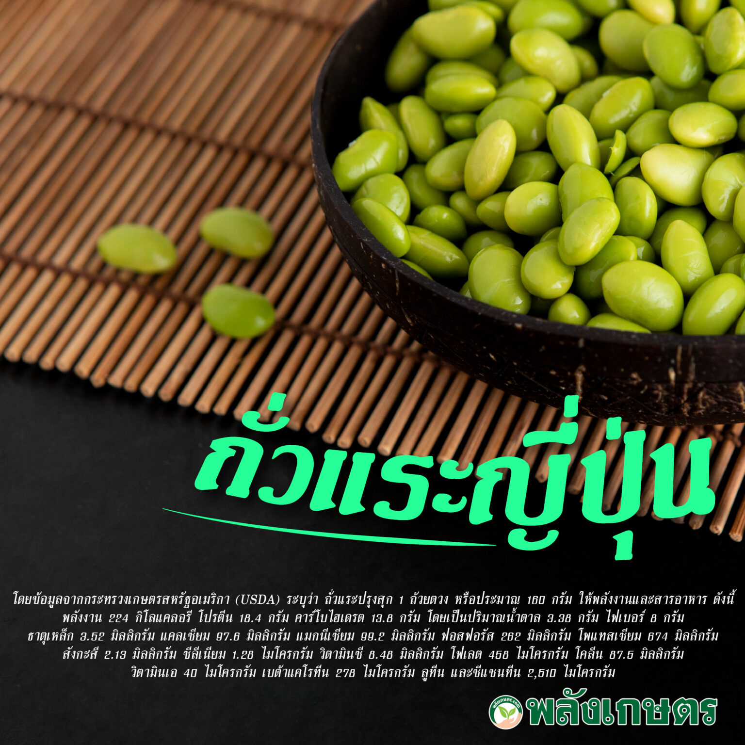 ถั่วแระญี่ปุ่น - พลังเกษตร.com